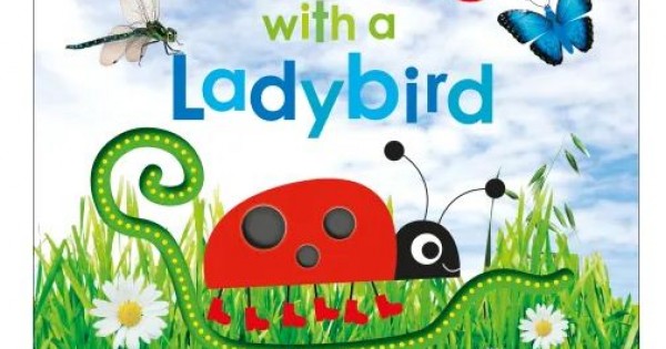 Counting with a Ladybird